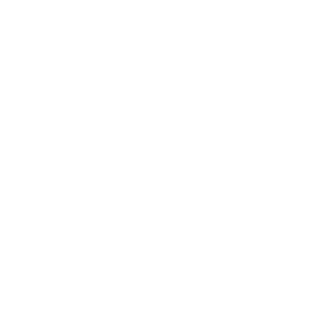 Homepage - Badrakh Energy