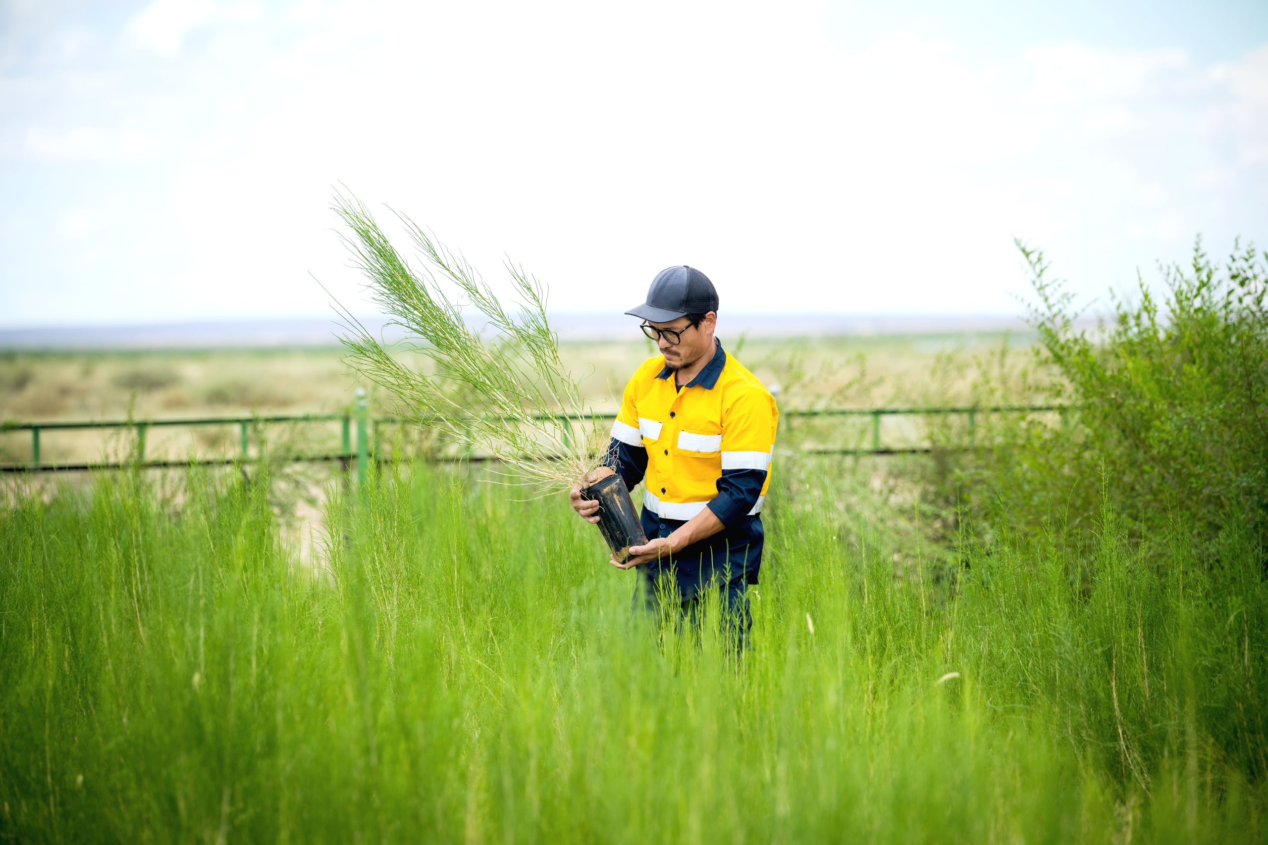 ЗӨӨВЧ-ОВОО ТӨСӨЛ - Badrakh Energy